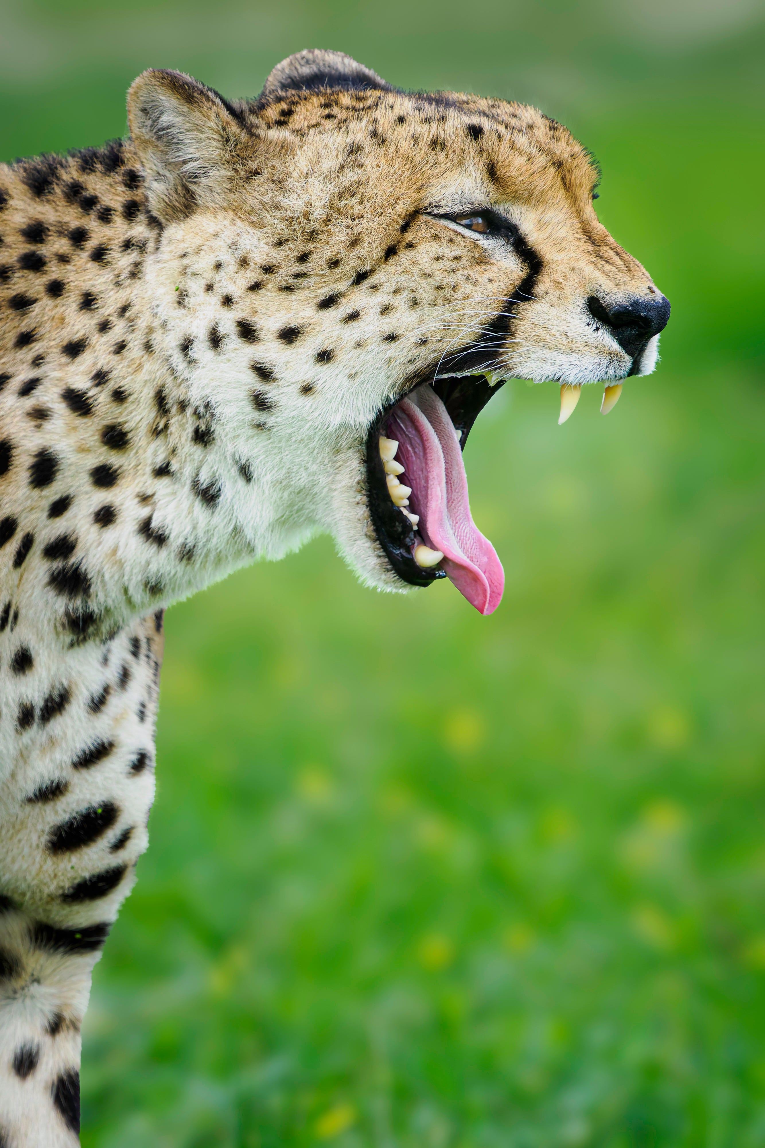 OM System Mentorship - Part 1 - Session #8 – Lee Hoy Photography