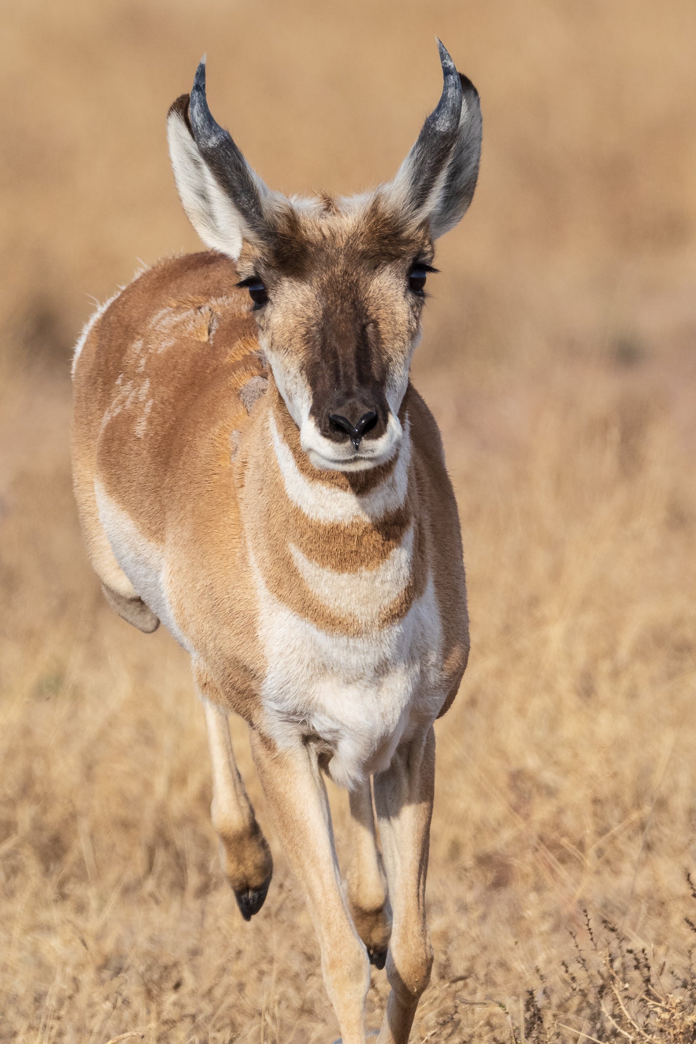 OM System Mentorship - Part 1 - Session #10 – Lee Hoy Photography